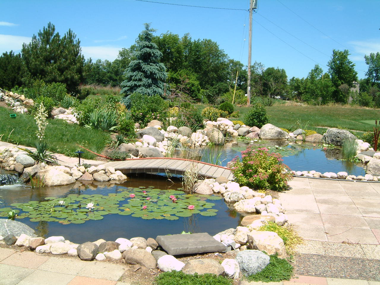 PondBlog.com
